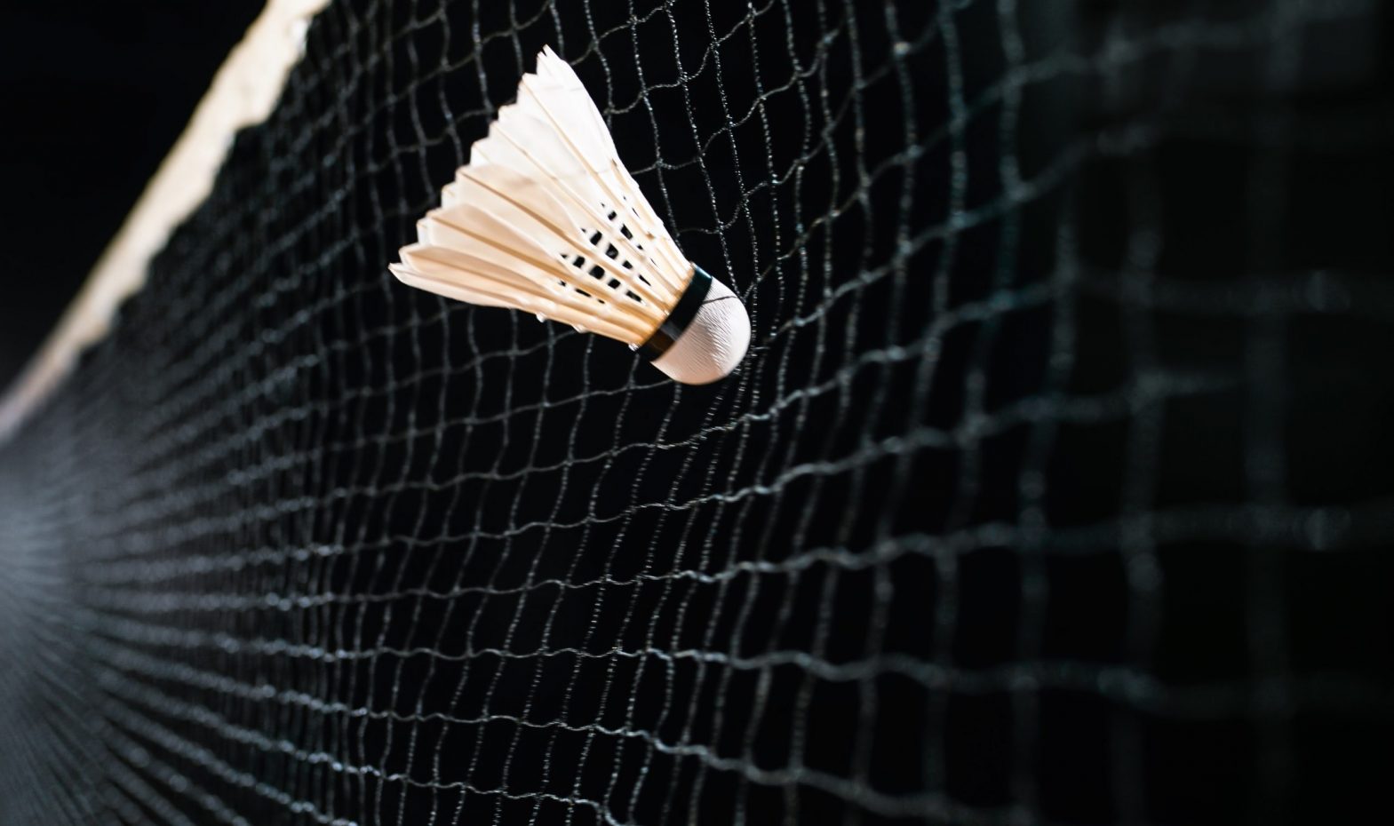 Racquet Sports - Your Trust